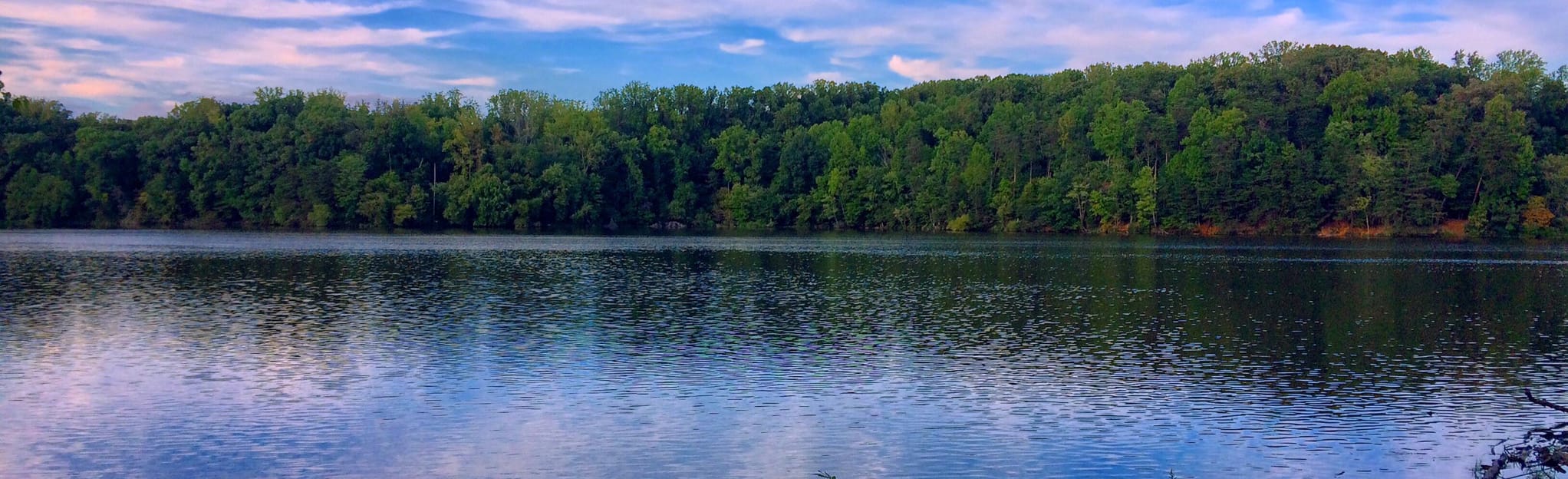 Lake Accotink Trail, Virginia - 2,444 Reviews, Map | AllTrails