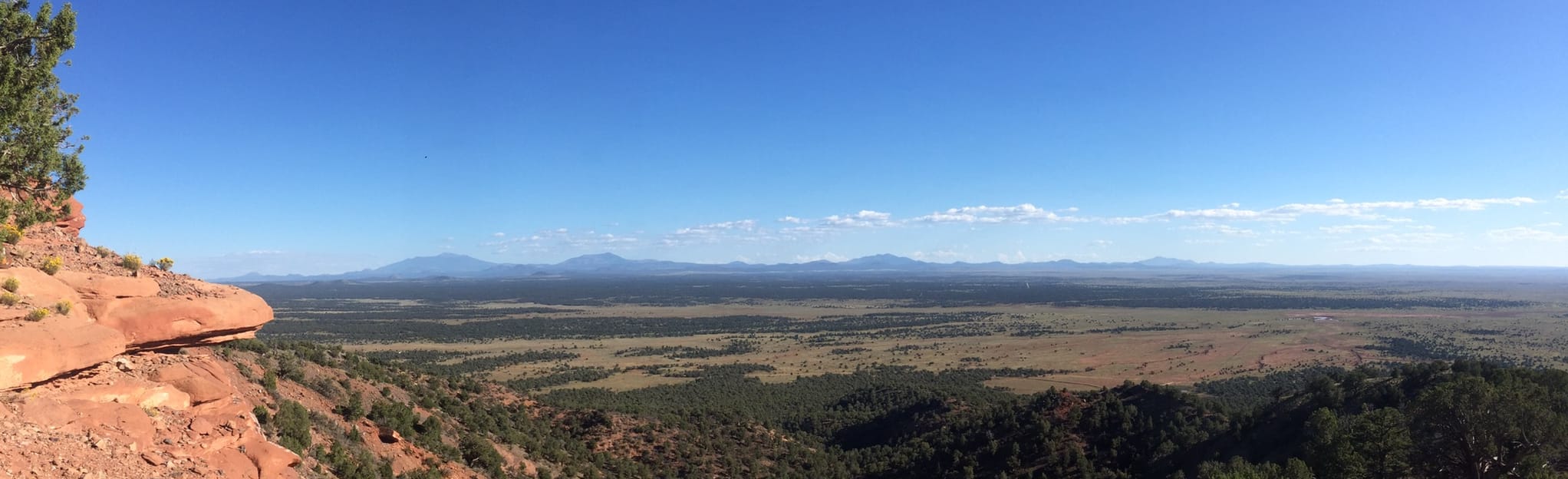 Red Butte Trail, Arizona - 179 Reviews, Map | AllTrails