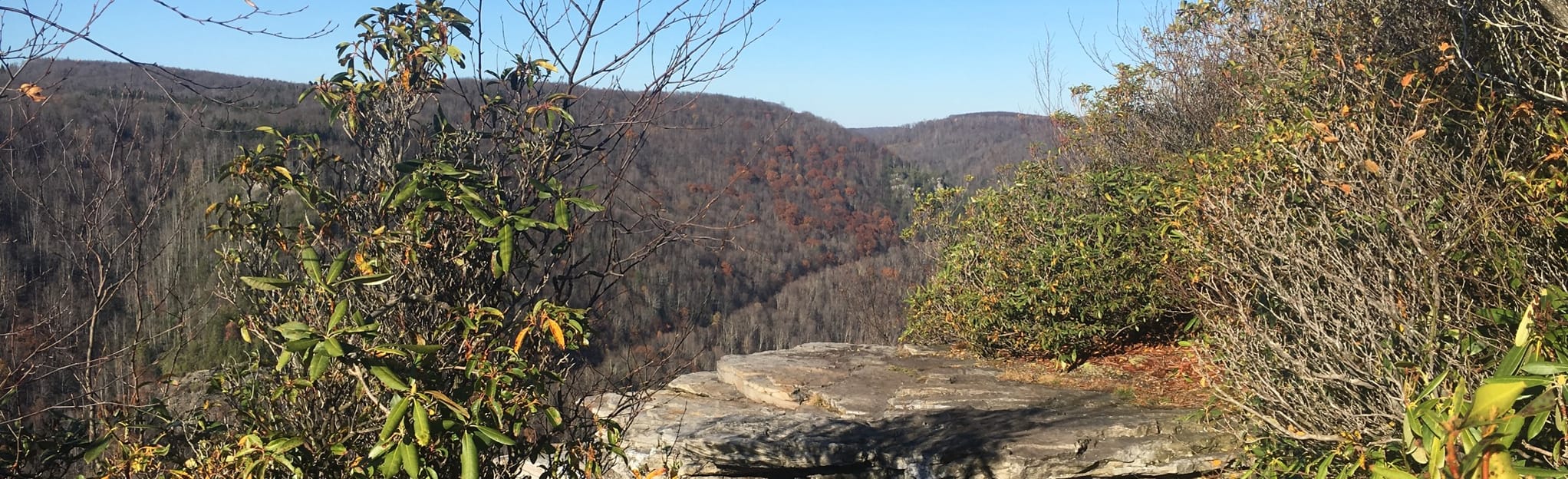 Lindy Point Overlook - West Virginia | AllTrails