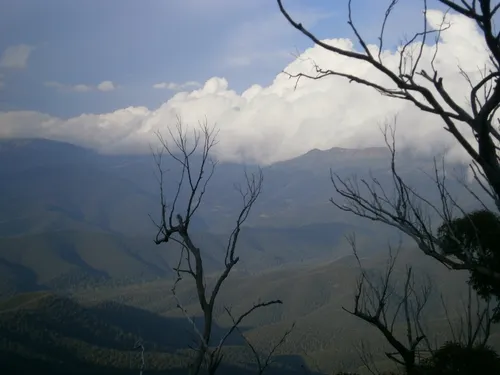 Best Camping Trails in Licola | AllTrails