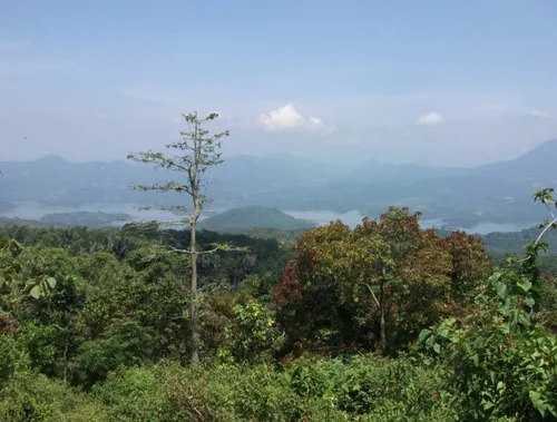 10 Best Trails and Hikes in Purwakarta | AllTrails