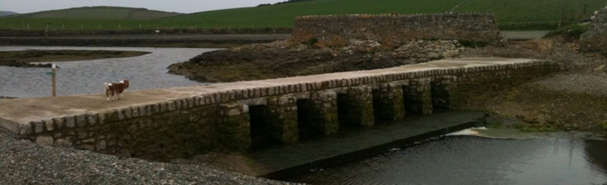 Cemlyn Bay : 16 Fotos - Anglesey, Wales | AllTrails