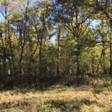 Indian Bayou Atchafalaya Trail, Louisiana - Map, Guide | AllTrails