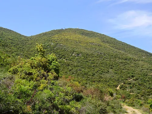 10 Best Easy Trails in Har Meron Nature Reserve | AllTrails