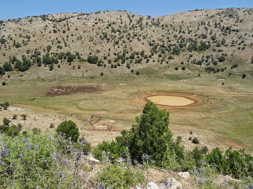 2023 Best Camping Trails in Majdal Shams | AllTrails