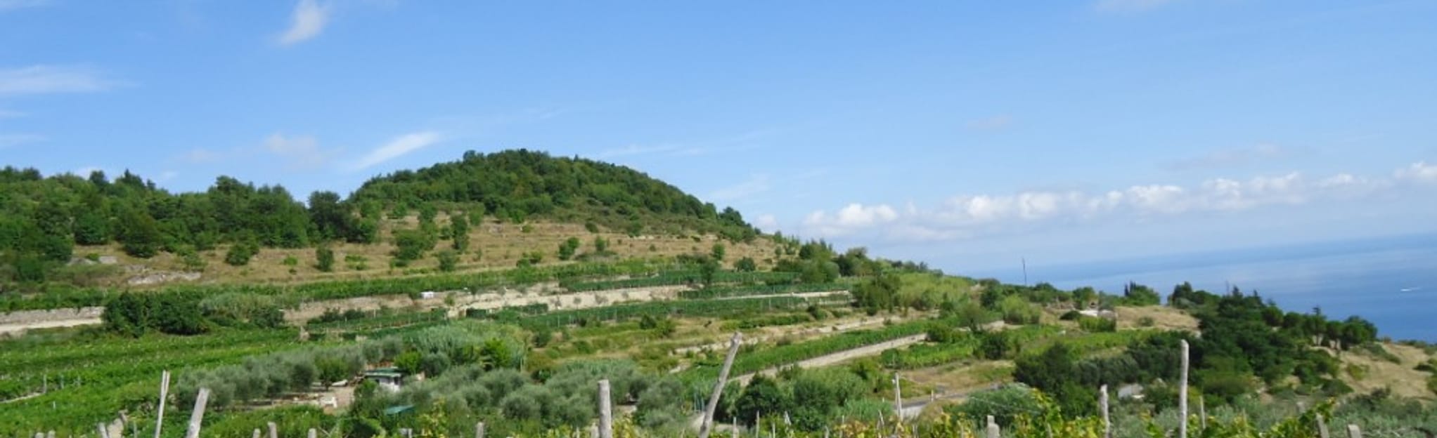 Grotta Arma di Crosa - Torre di Bastia: 39 foto - Liguria, Italia ...