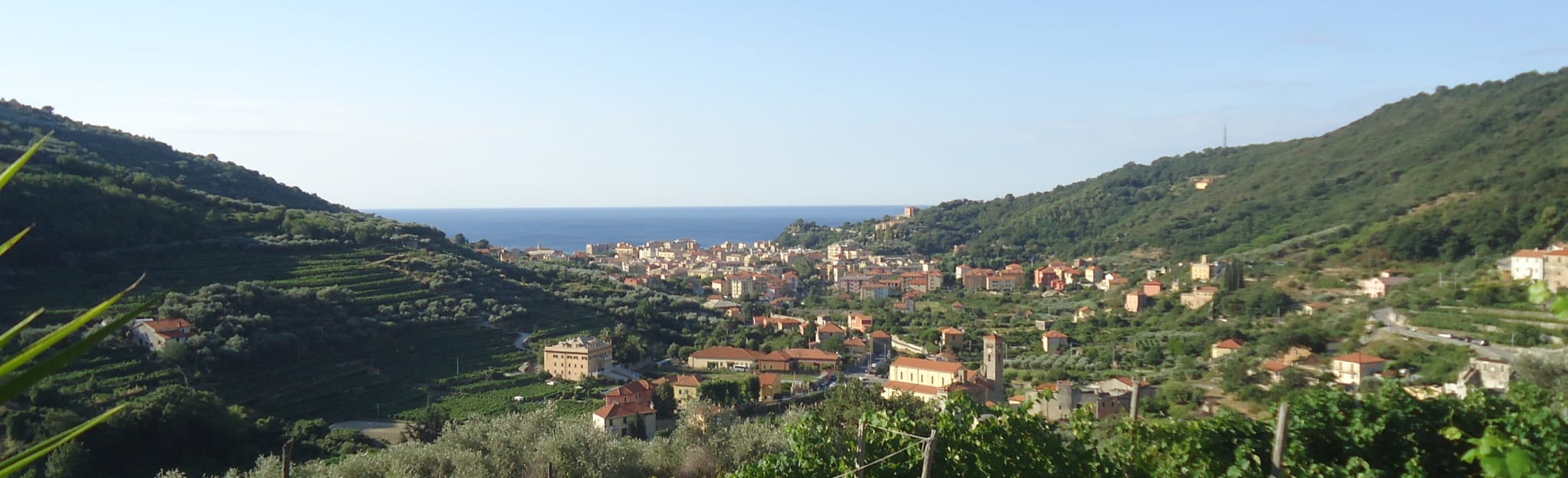 Calvisio - Camporotondo - Bric Reseghe, Liguria, Italy - 8 Reviews, Map ...