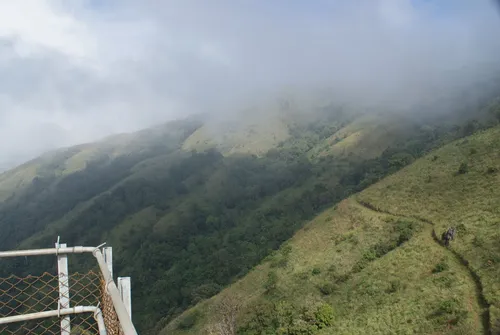 2023 Best Wild Flowers Trails in Mananthavady | AllTrails