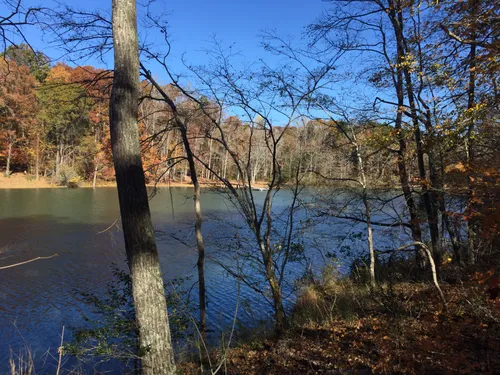 10 Best Hikes and Trails in Latta Nature Preserve | AllTrails