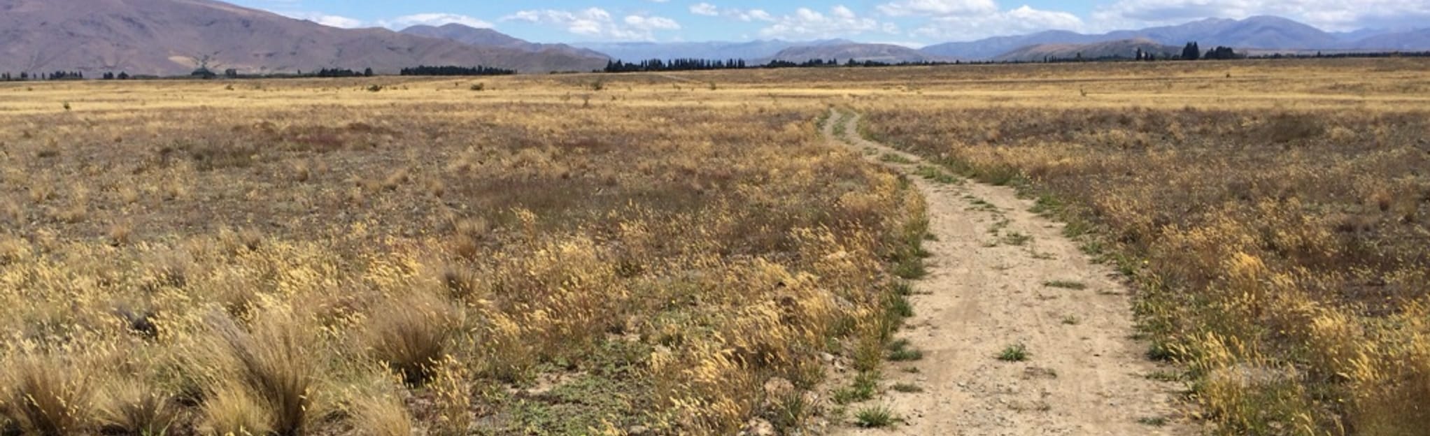 Twizel to View of Mount Cook via Alps 2 Ocean Track, Canterbury, New ...