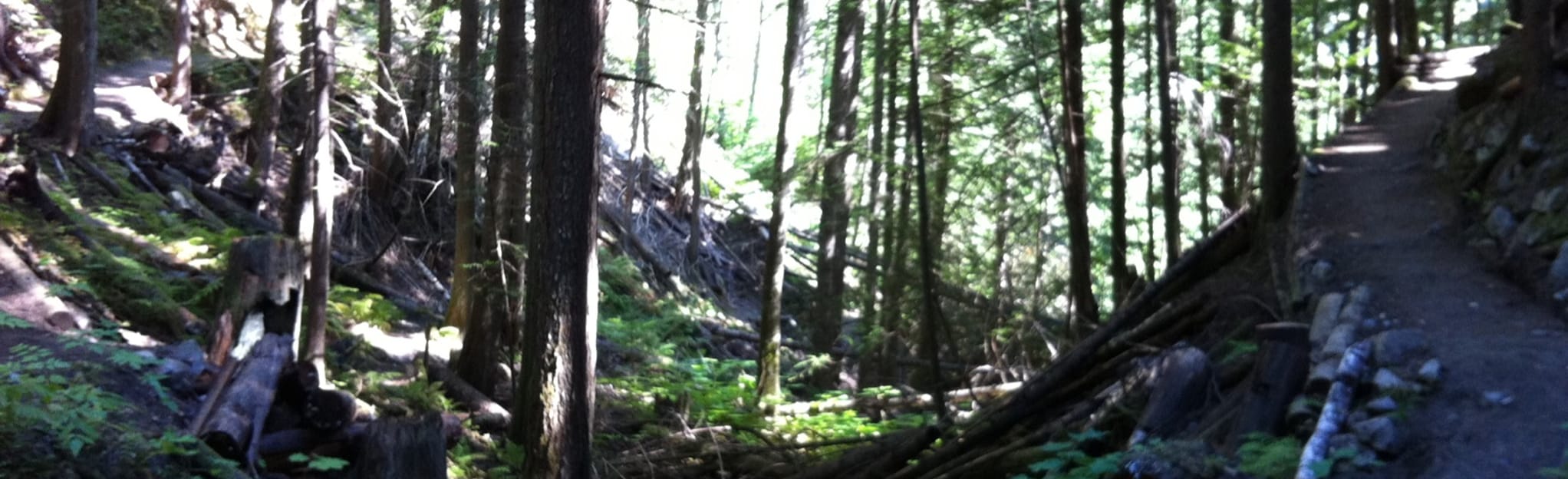 Galena Trail: New Denver to Three Forks: 28 Reviews, Map - British ...