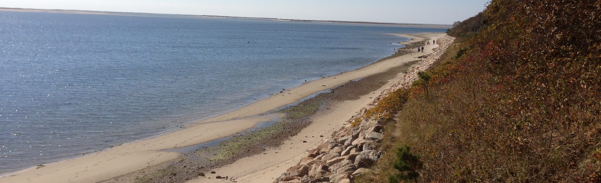 Harding Beach Point via Monomoy Nature Trail [CLOSED]: 96 Reviews, Map ...