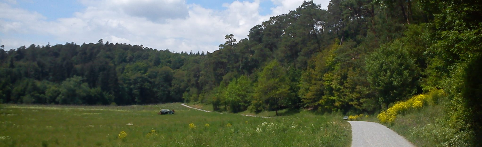 Würzburg nach Erlabrunn, Bavaria, Germany - Map, Guide | AllTrails