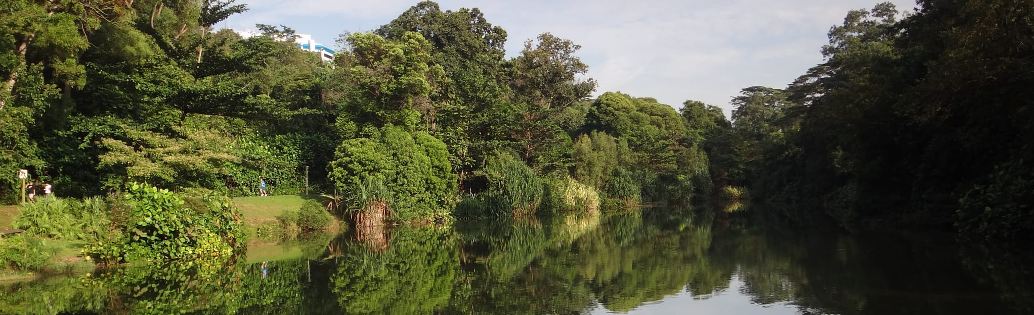 Southern Ridges Trail, Central, Singapore - 96 Reviews, Map | AllTrails