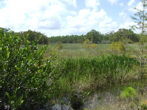 10 Best Trails and Hikes in Jupiter | AllTrails