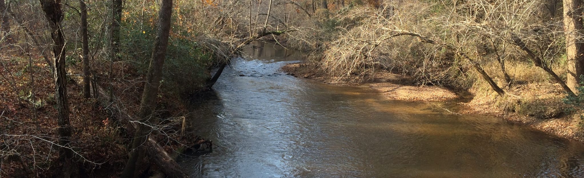 Bear Swamp, Dam Site, and Summit Loop Trail: 175 Reviews, Map - North ...