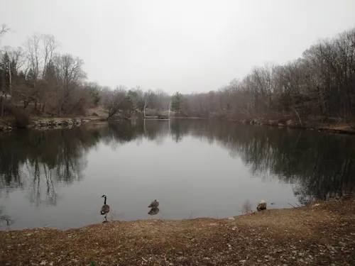 Best Hikes and Trails in Willow Tree Park | AllTrails