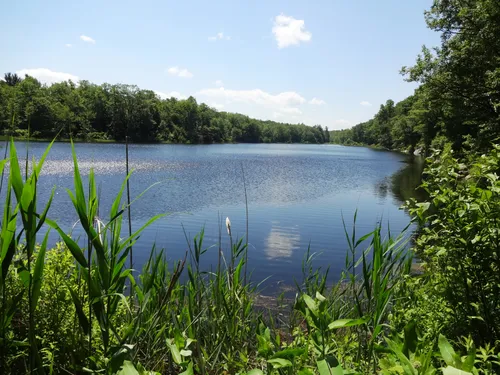 2023 Best Wild Flowers Trails in Hardyston | AllTrails