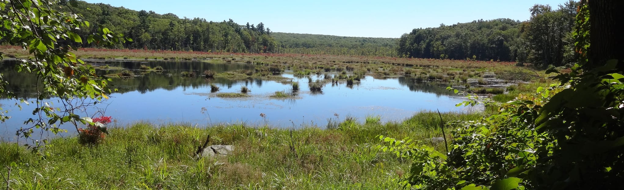 Cherry Ridge Trail: 26 Reviews, Map - New Jersey | AllTrails