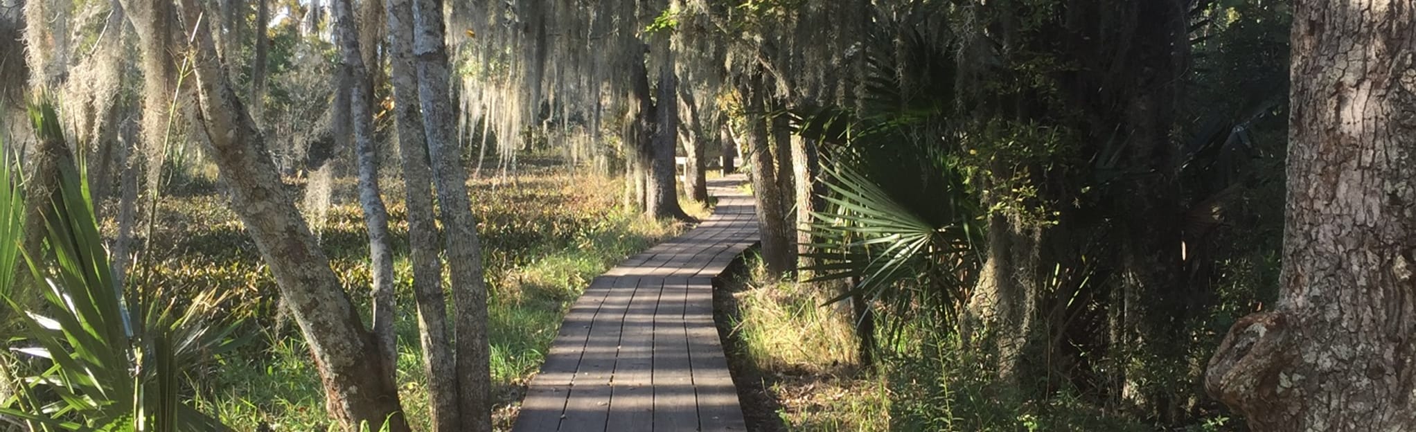Palmetto, Bayou Coquille and Marsh Overlook - Louisiana | AllTrails