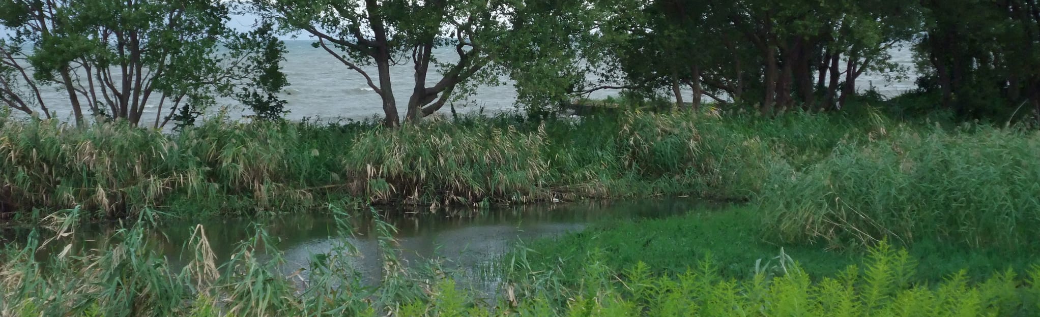 Lake Biwa Lakeside Bicycle Path: 0 Reviews, Map - Shiga, Japan | AllTrails