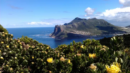 Table Mountain National Park Map | Cabinets Matttroy