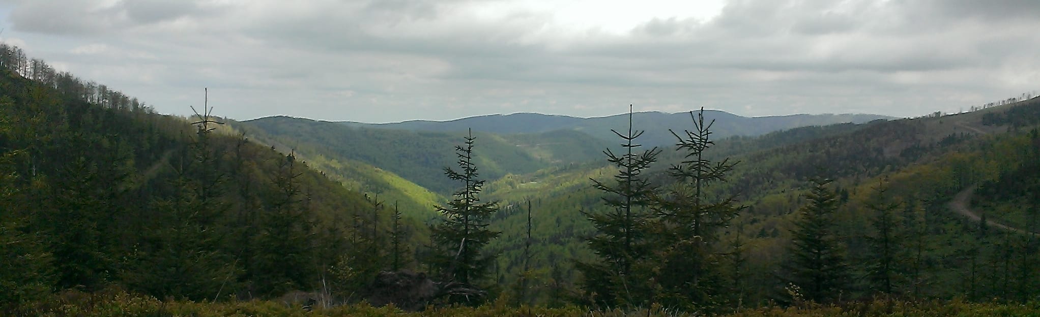 Biały Krzyż - Malinowska Skała, 23 Fotos - Silesian (Slaskie), Poland ...