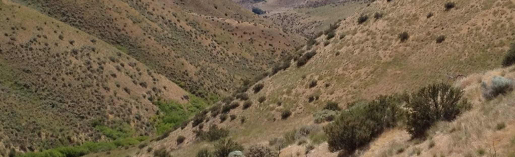 Fat Tire Traverse Trail: 30 Reviews, Map - Idaho | AllTrails