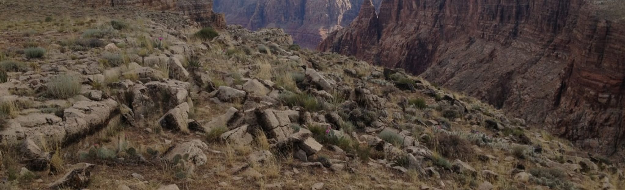 Salt Trail Canyon Trailhead, Arizona - Map, Guide | AllTrails
