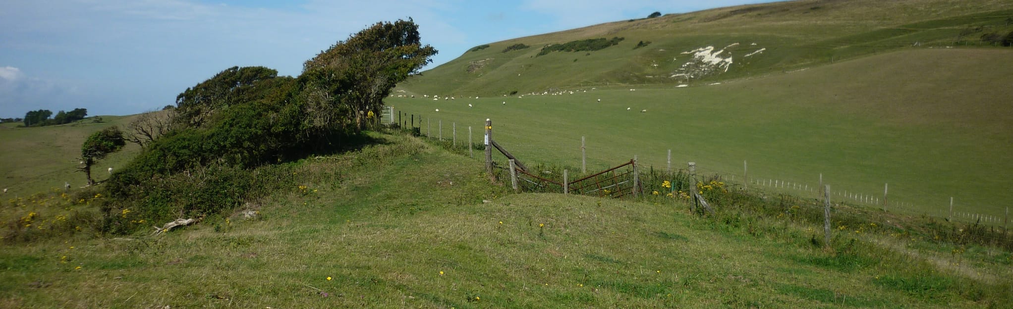 Shorwell, Brighstone Forest, Worsley Circular: 7 Reviews, Map - Isle of ...