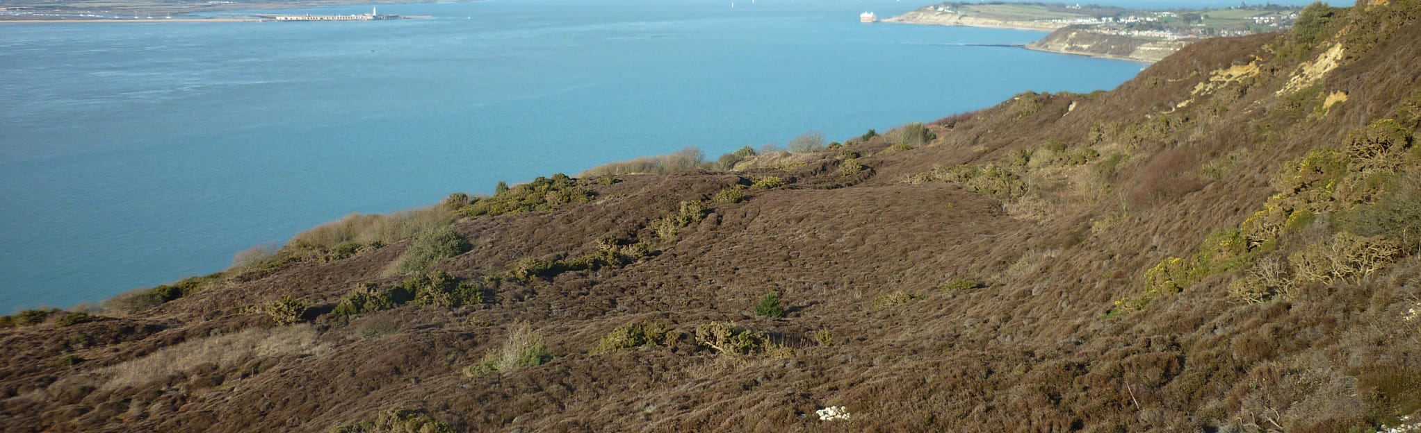 Needles Viewpoint and Tennyson Down Circular Walk: 126 Reviews, Map ...