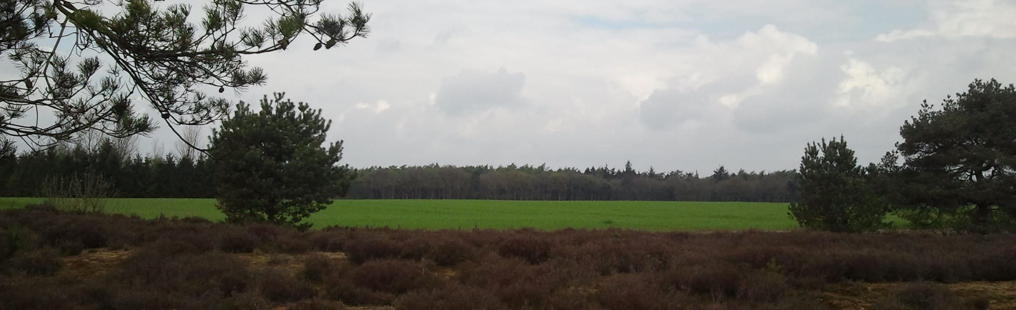 Steenbergen - Amerika, Drenthe, Netherlands - 9 Reviews, Map | AllTrails