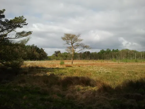 De 10 beste wandelroutes om te wandelen in Norg | AllTrails