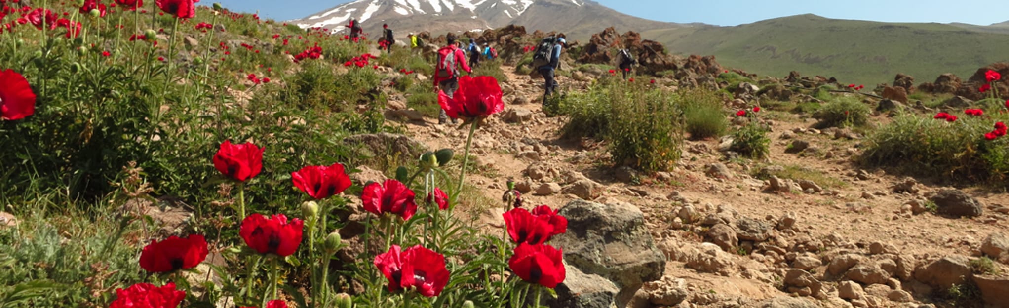 Mount Damavand, Tehran, Iran - 36 Reviews, Map | AllTrails