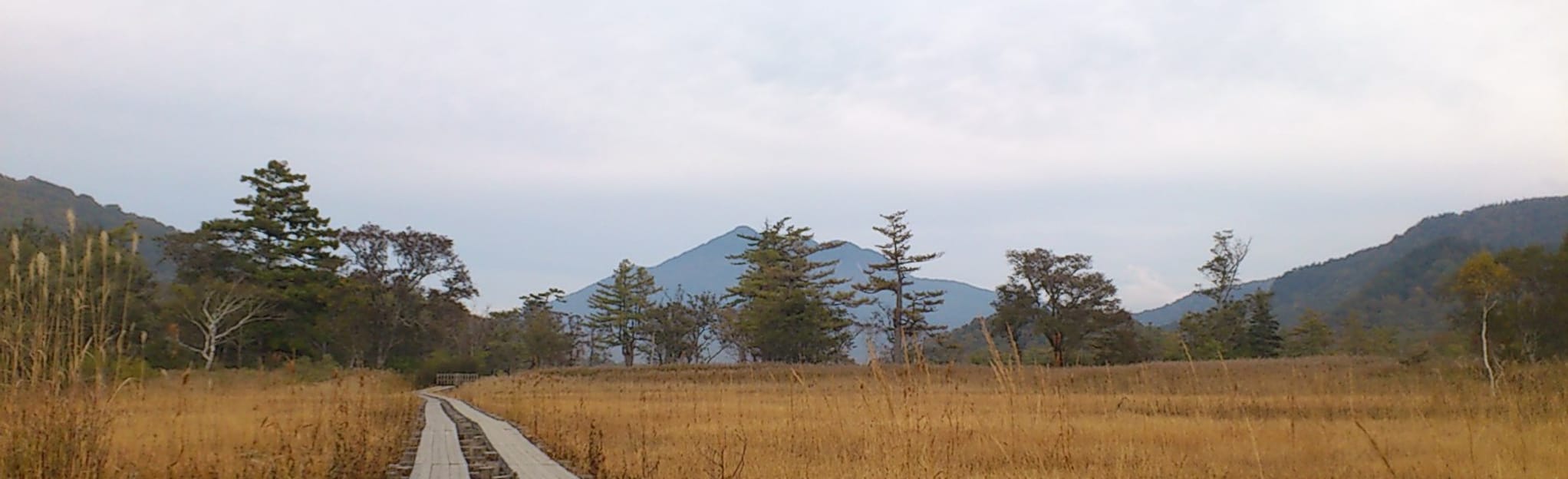 Oze National Park Hiking Tour: 470 foto's - Gunma, Japan | Wandelen ...