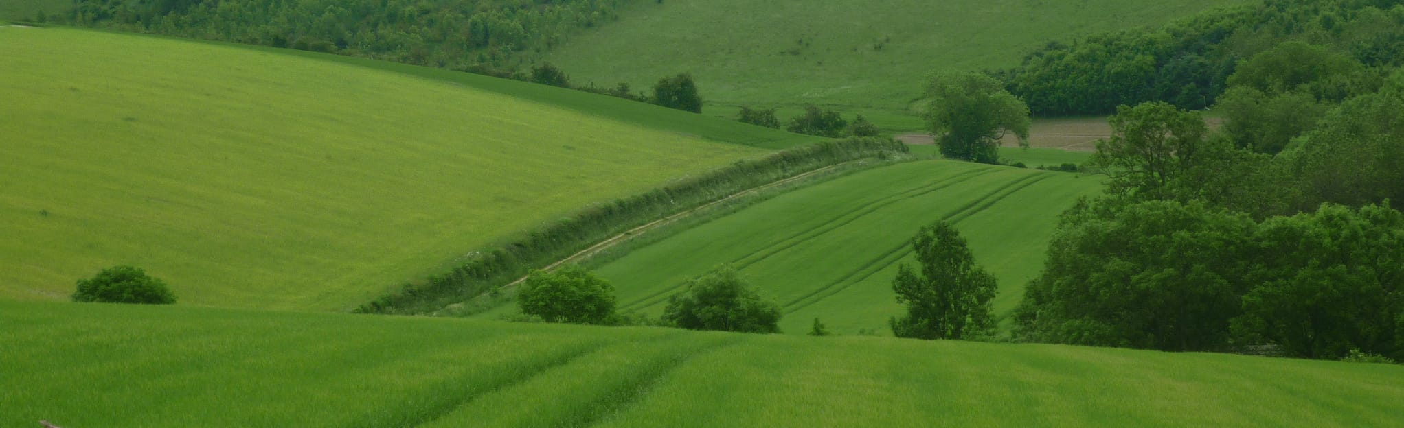 Sancton and The Wolds: 152 Reviews, Map - East Riding of Yorkshire ...