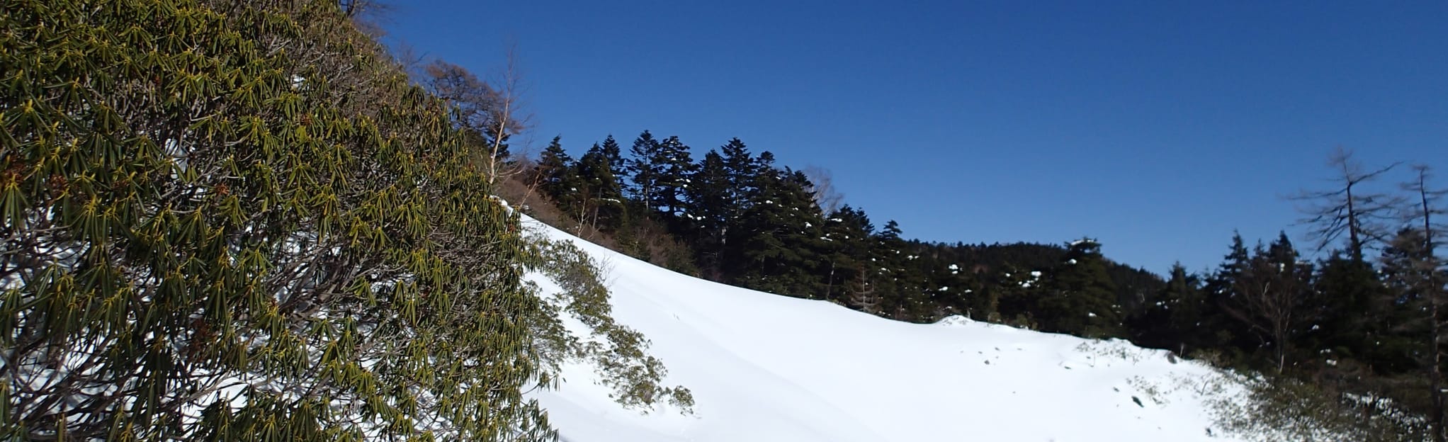 Nakayama Pass - Mount Tengu - Hutte Natsuzawa Loop: 1 Reviews, Map ...