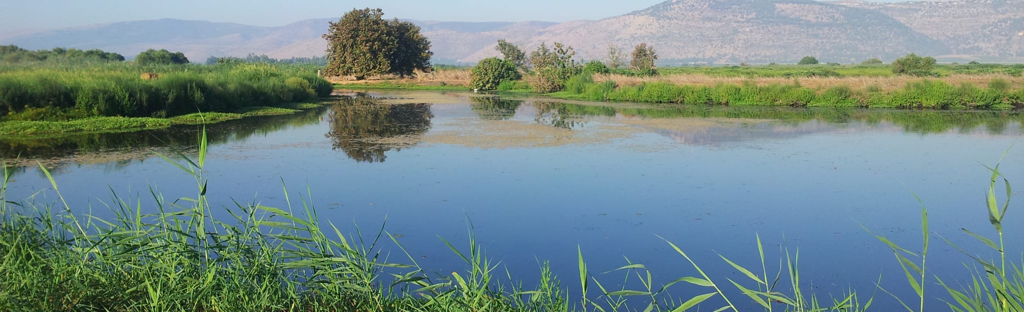 Hula Valley Bicycle Loop: 10 Reviews, Map - Northern District HaZafon ...