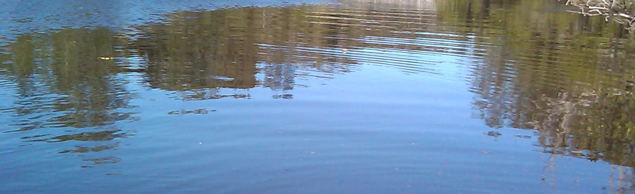 Woods Point Trail: 2 Reviews, Map - New South Wales, Australia | AllTrails