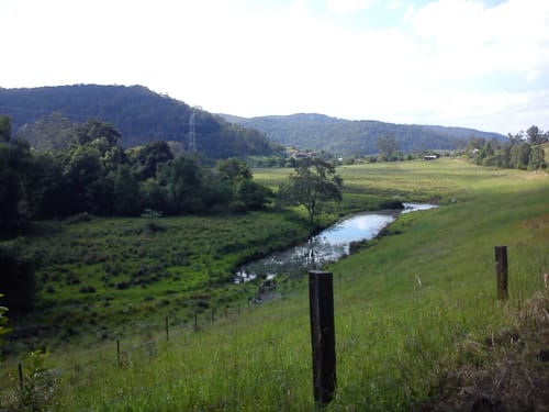 Best Hikes and Trails in Olney State Forest | AllTrails