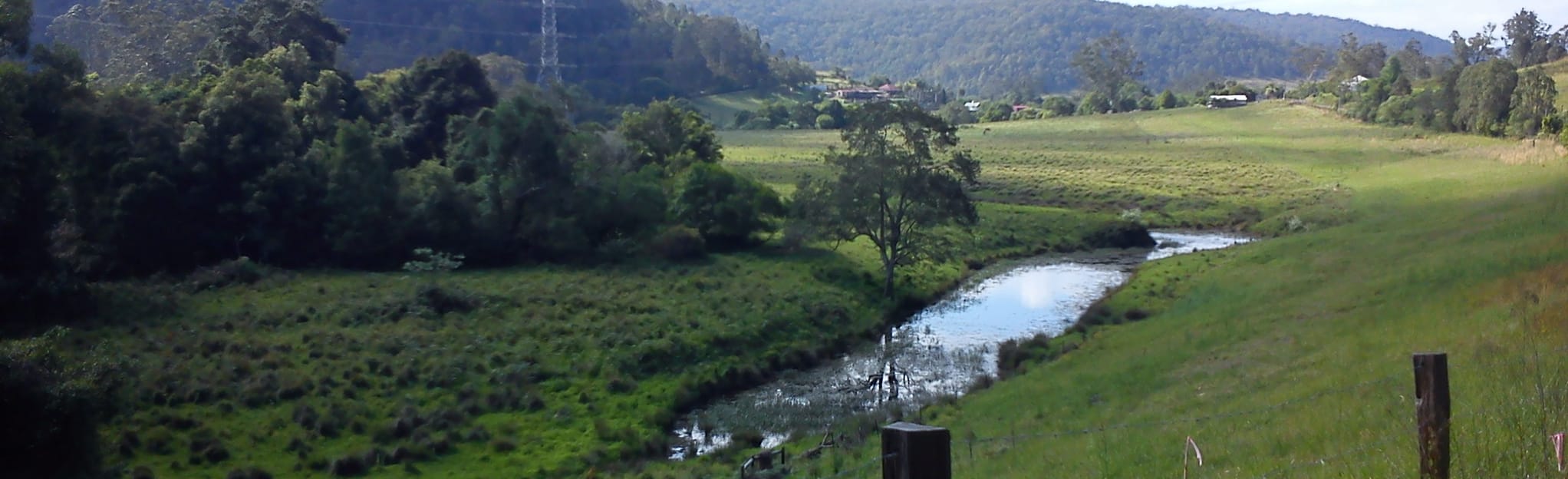 Great Northern Walk: Yarramalong to Watagan Creek Road, 89 Fotos - New ...