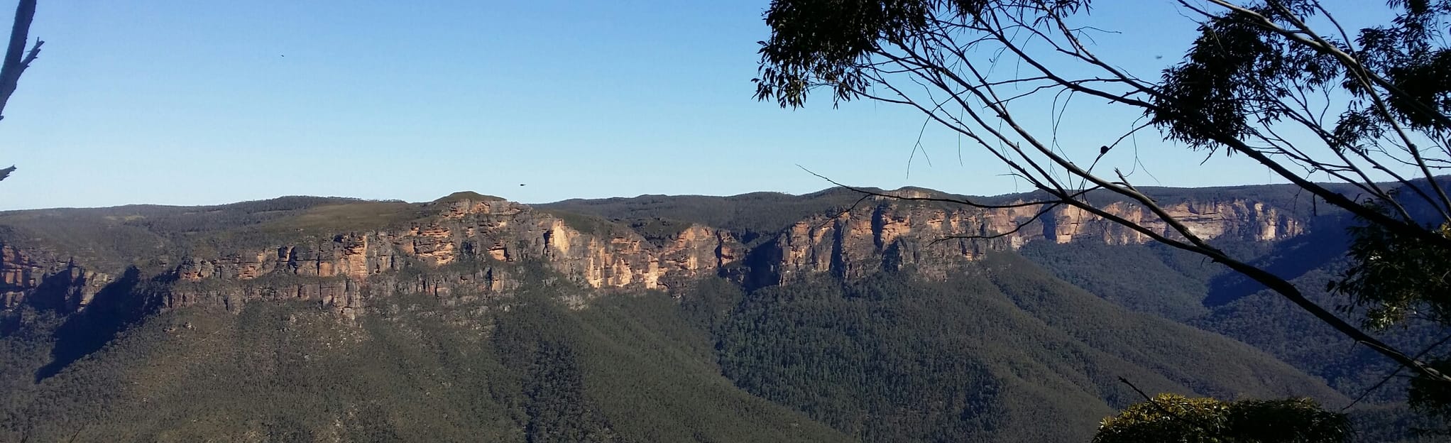 Blue Gum Forest Trail Loop: 2 Reviews, Map - New South Wales, Australia ...