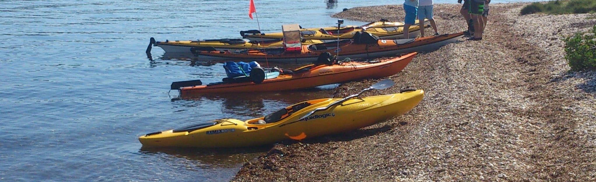 Point Wolstoncroft Fire Trail: 18 Reviews, Map - New South Wales ...