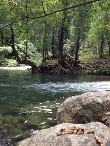 Best Hikes and Trails in Little Mulgrave | AllTrails