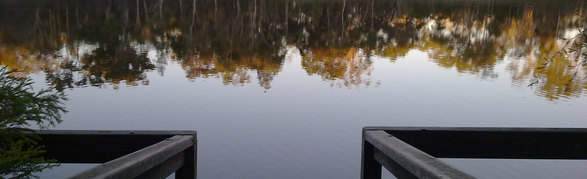 Cooloola Wilderness Trail: Elanda Point Park to Harry's Hut: 6 Reviews ...