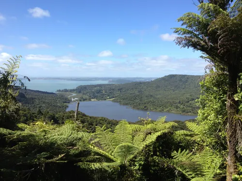 10 Best Short Trails in Waitakere Ranges Regional Park | AllTrails