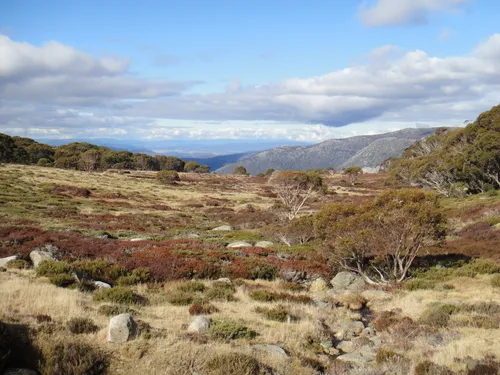 10 Best Hikes and Trails in Alpine National Park | AllTrails