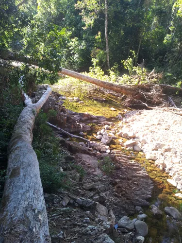 Best Camping Trails in Paluma Range National Park | AllTrails