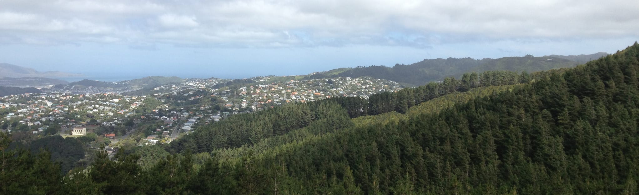 Otari Skyline Loop: 28 Reviews, Map - Wellington, New Zealand | AllTrails