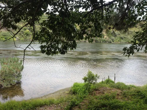 2023 Best River Trails in Putaruru | AllTrails